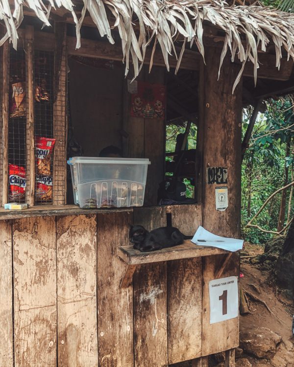 Discover Tayangban Cave Pool - A Hidden Gem in Siargao