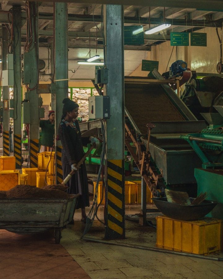 Nuwara Eliya Tea Factory - Great Experience at Damro Tea