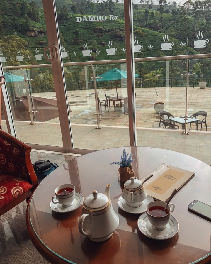 Nuwara Eliya Tea Factory - Great Experience at Damro Tea