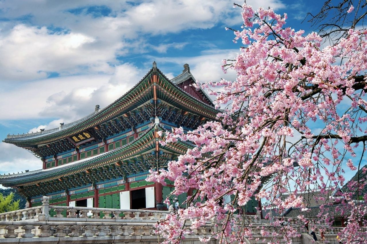 Spring in Korea - 15 Best Places to See Korea in Spring