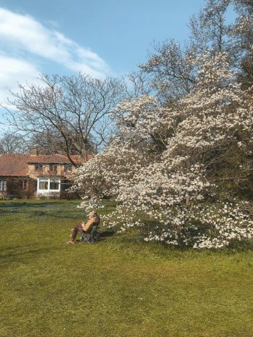 Spring in Sweden: 10 Best Places to See Sweden in Spring
