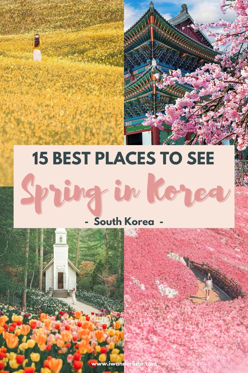 Spring in Korea - 15 Best Places to See Korea in Spring
