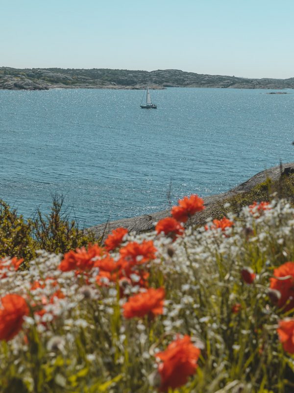 Marstrand Sweden: Ultimate Guide to Sweden's Sailing Capital