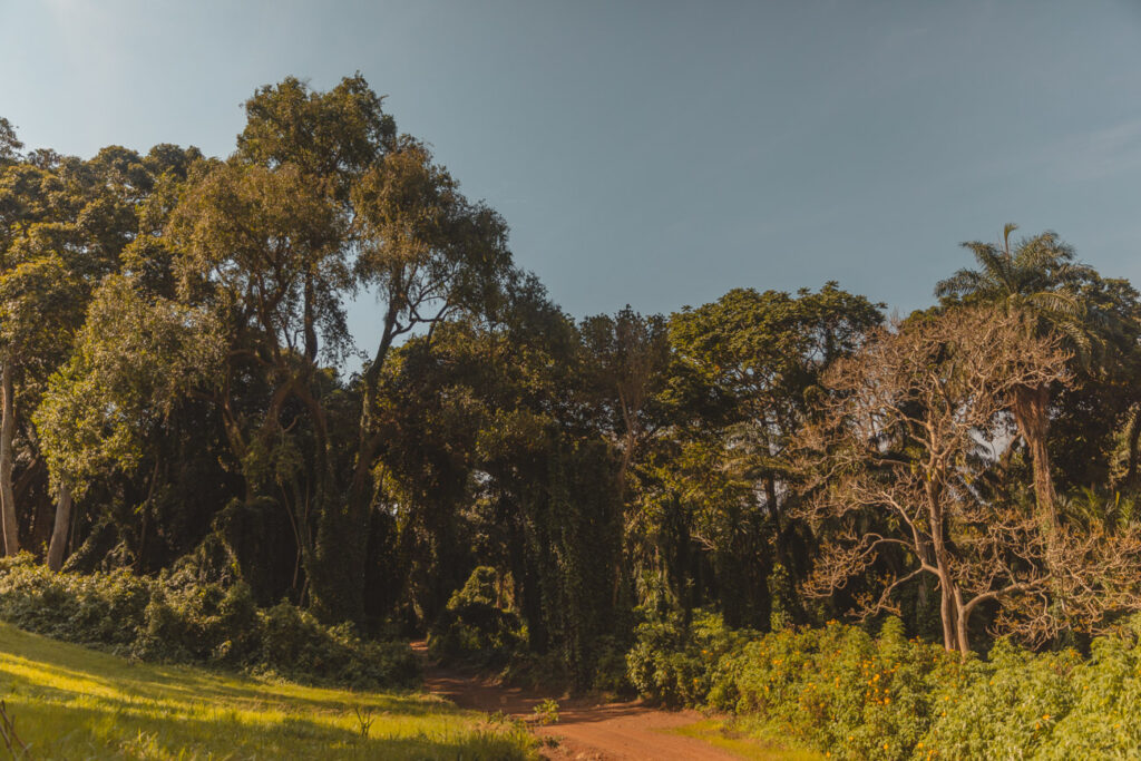 10 Best Things to do in Entebbe, Uganda • I, Wanderlista