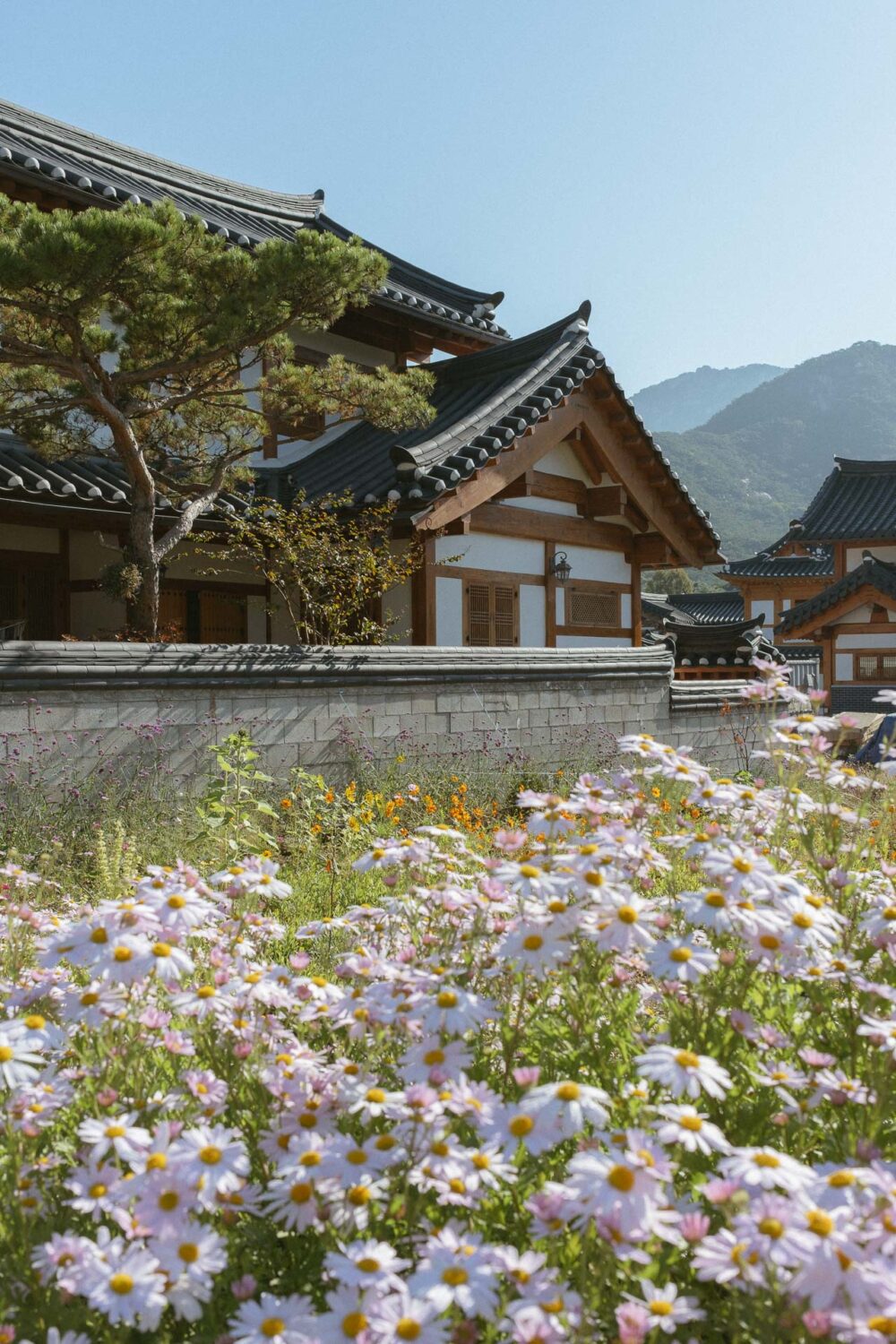 Bukchon Hanok Village: 8 Best Sights and Activities