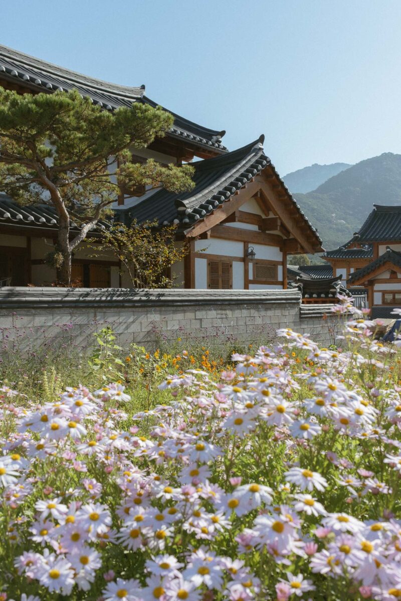 Bukchon Hanok Village: 8 Best Sights and Activities