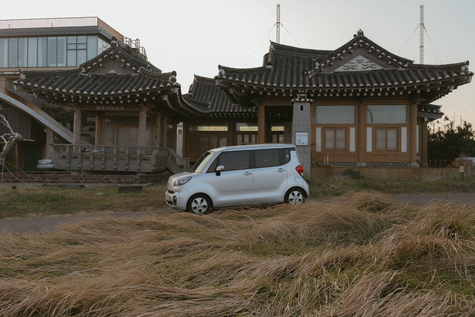 Jeju Autumn Itinerary: The Best 5-Day Jeju Road Trip Route