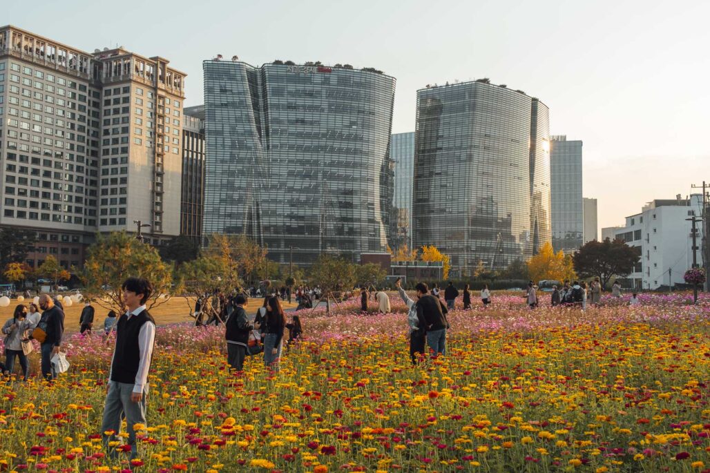 Autumn in Korea - 7 Day Road Trip Itinerary for South Korea