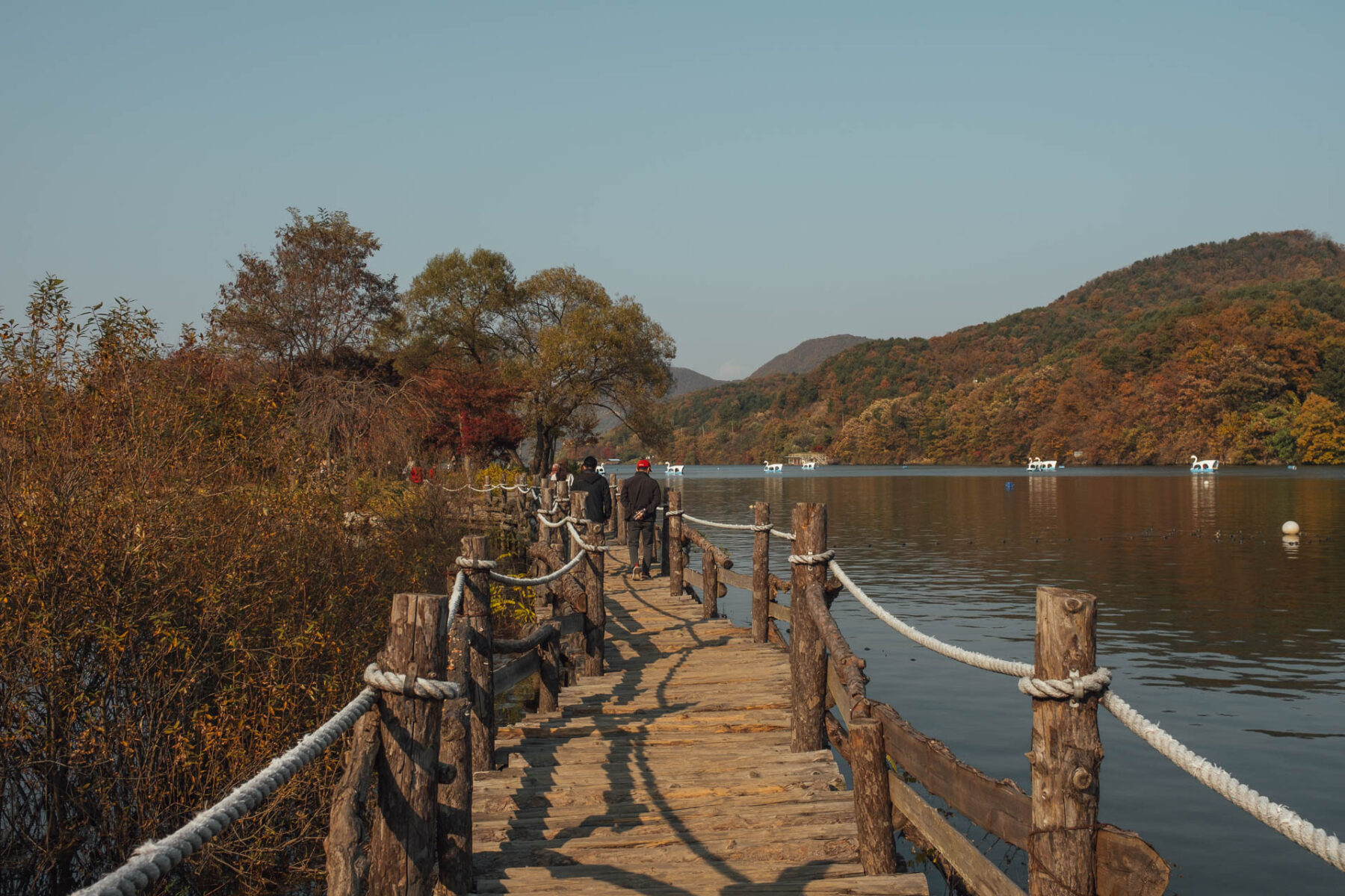 The Ultimate Travel Guide to Nami Island (Namiseom), Korea