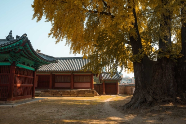 South Korea in October 2025 – Weather, Events & Travel Tips