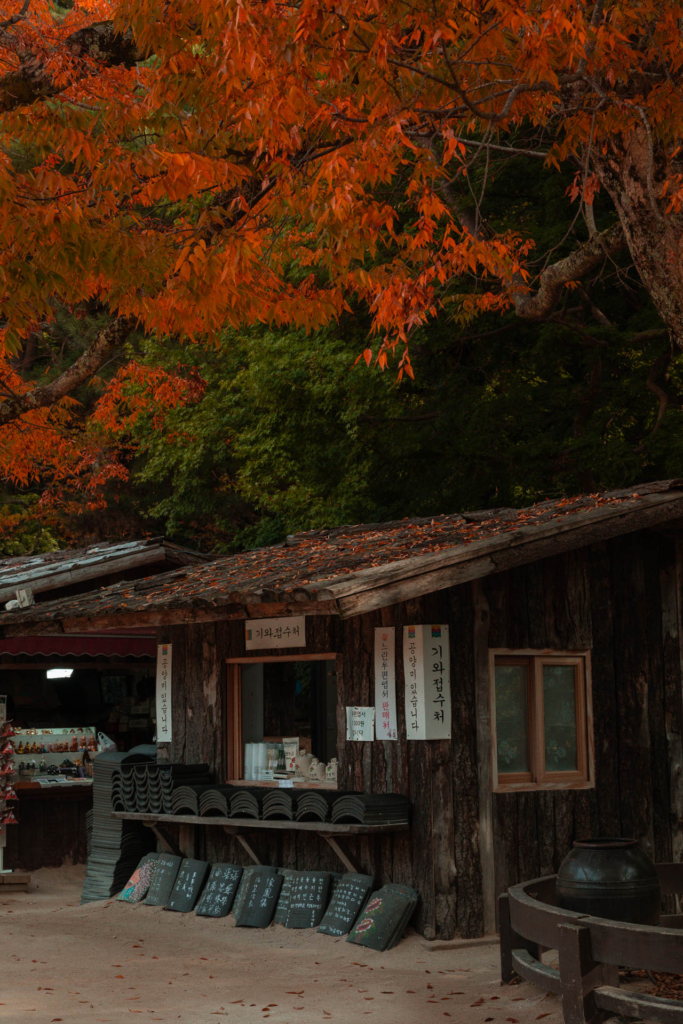 South Korea in October 2025 – Weather, Events & Travel Tips